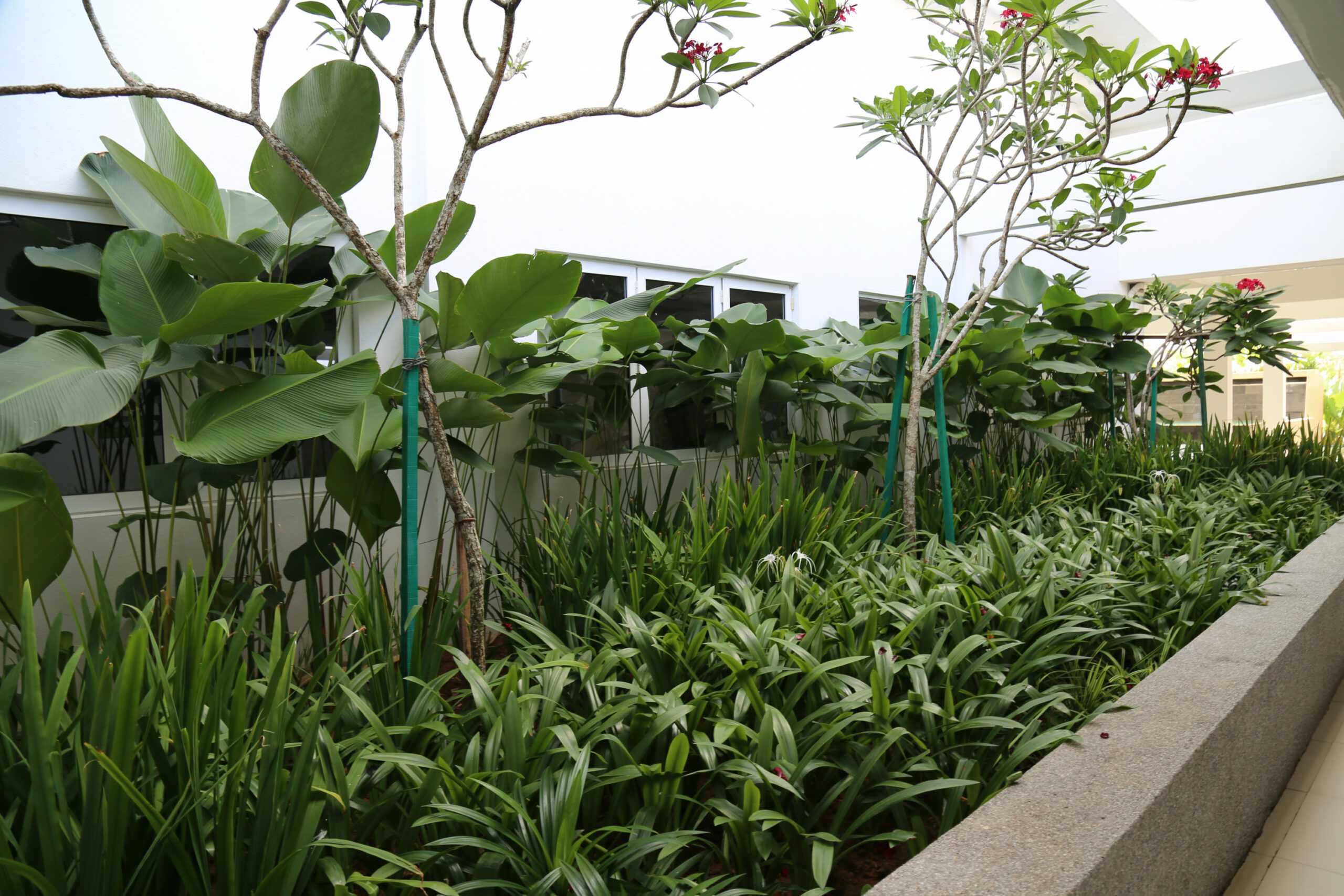 Cyberjaya Mosque (Raja Haji Fisabilillah Mosque) – Mosqpedia